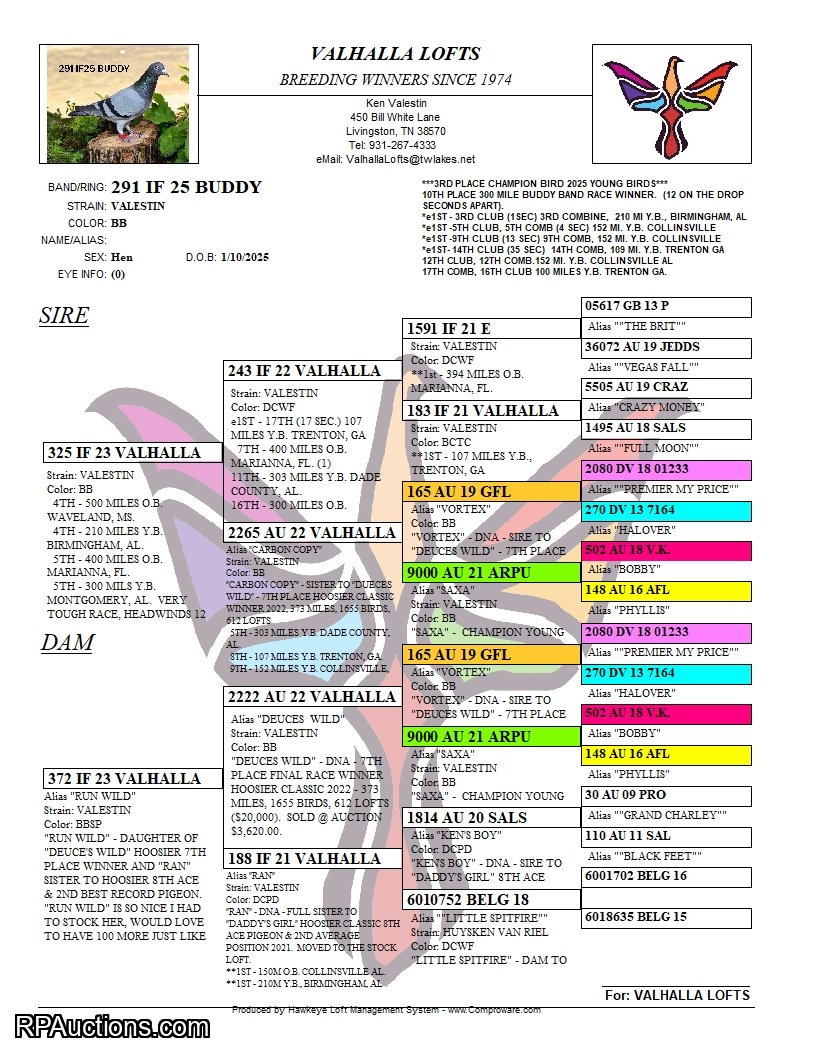 **10TH PLACE** 300 MILE BUDDY BAND RACE WINNER